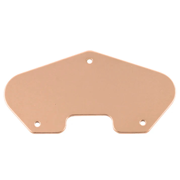 Grounding Plate for Tele Bridge Pickup, Steel | Allparts UK