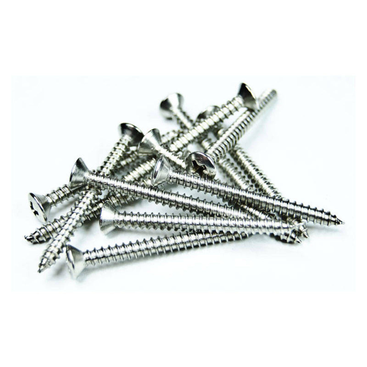 Stainless Back Panel Screw For Closed Back Cabinets, Pack of 12 ...