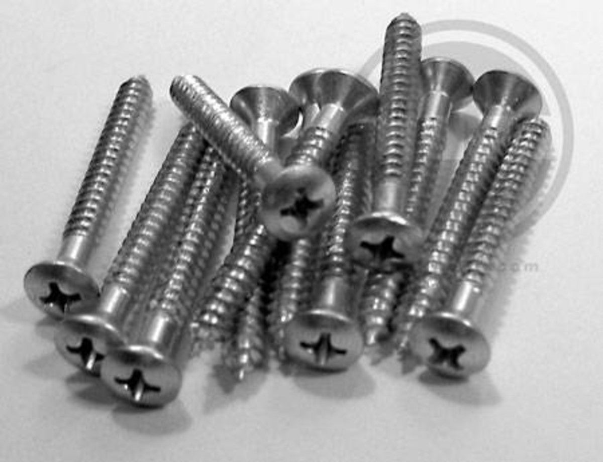 Blackface Style Baffle Mounting Screw, (Pack of 12) | Allparts UK