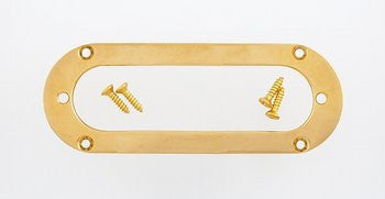 Metal pickup mounting ring for Strat sized pickup oval - Allparts UK